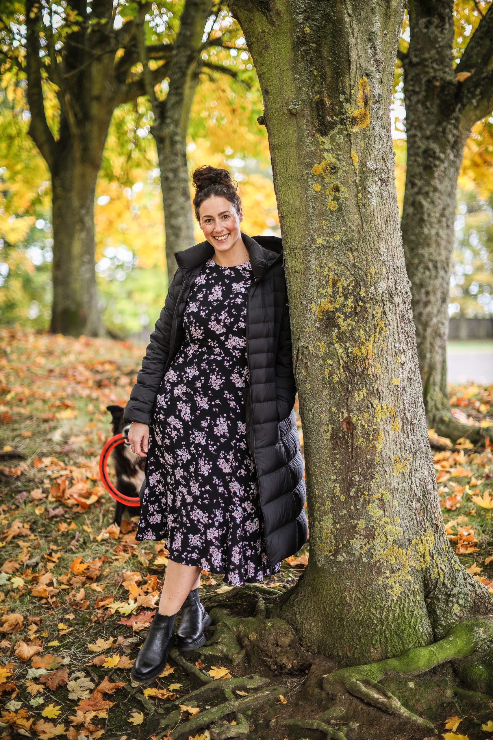 Autumn dressing – The Daydreamer