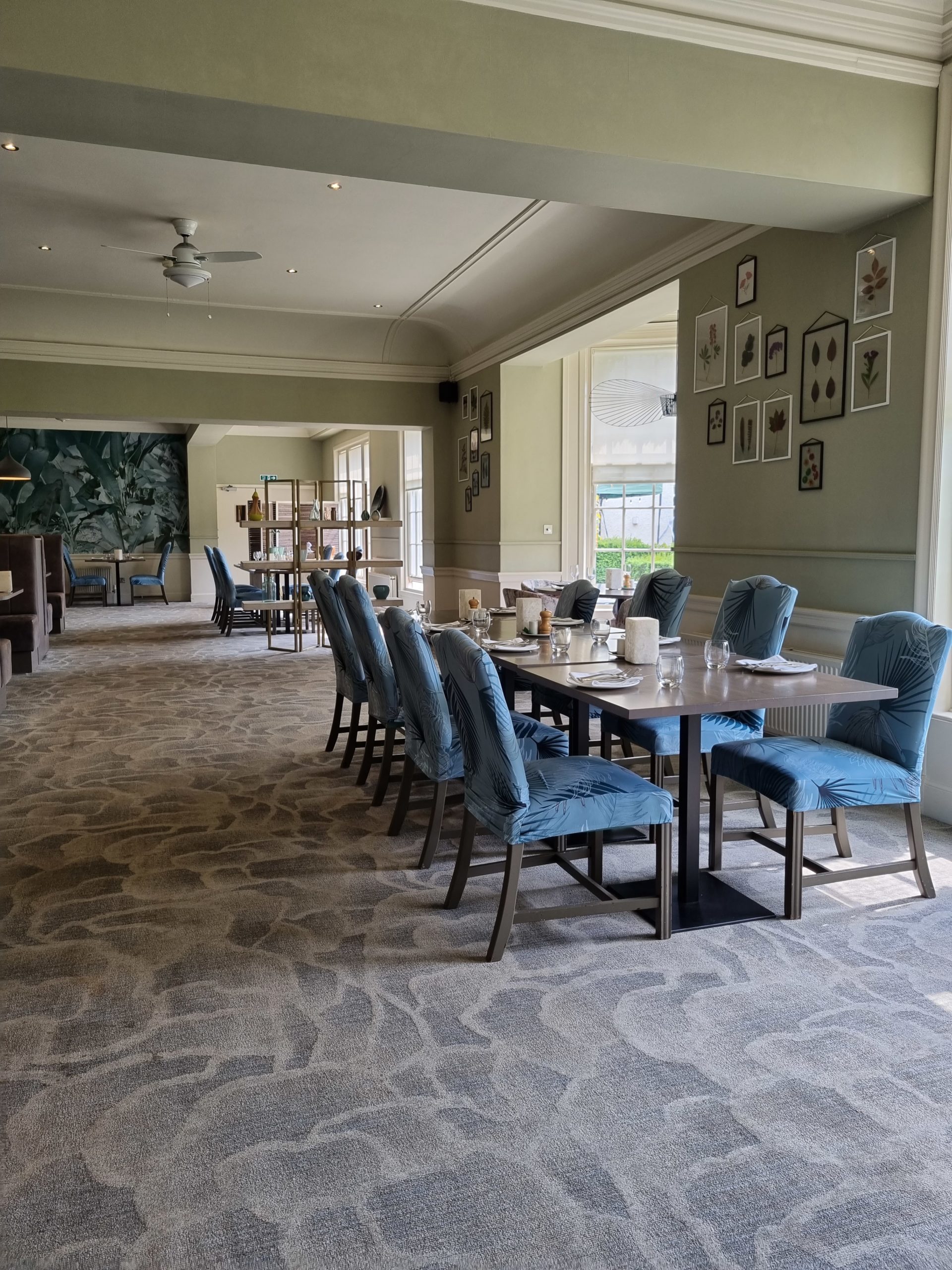 Rufflets St Andrews – The Daydreamer